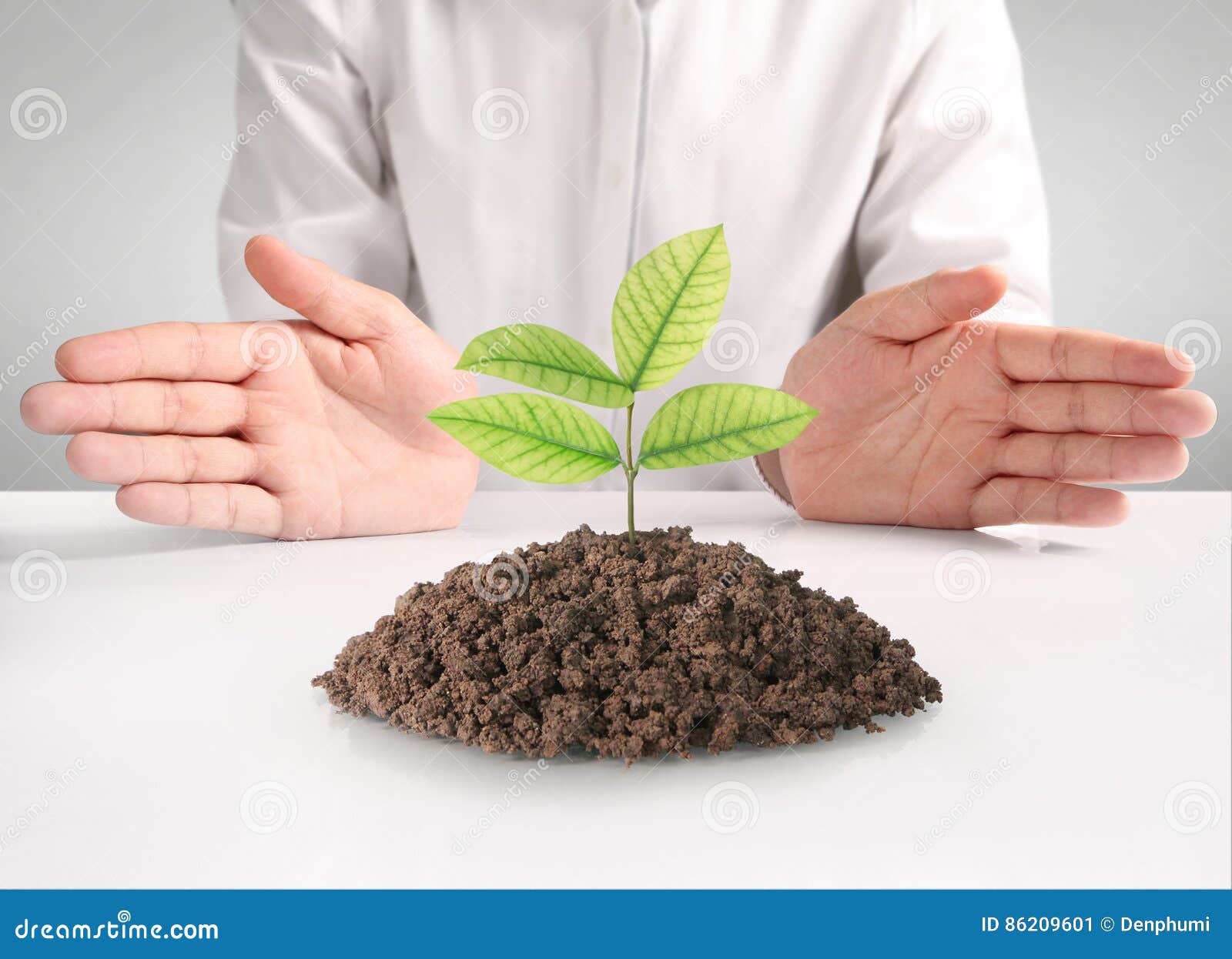 Holding Green Plant in Hand Stock Image - Image of healthy, hope: 86209601