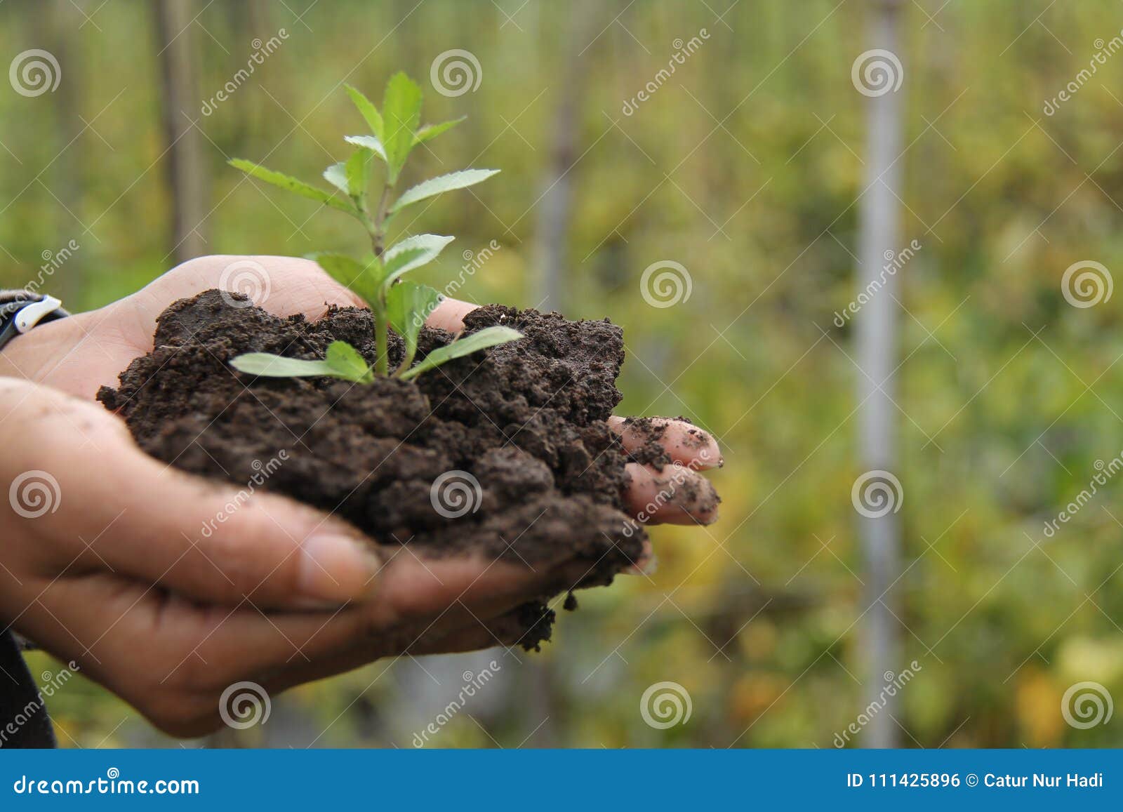 what does holding your ground mean