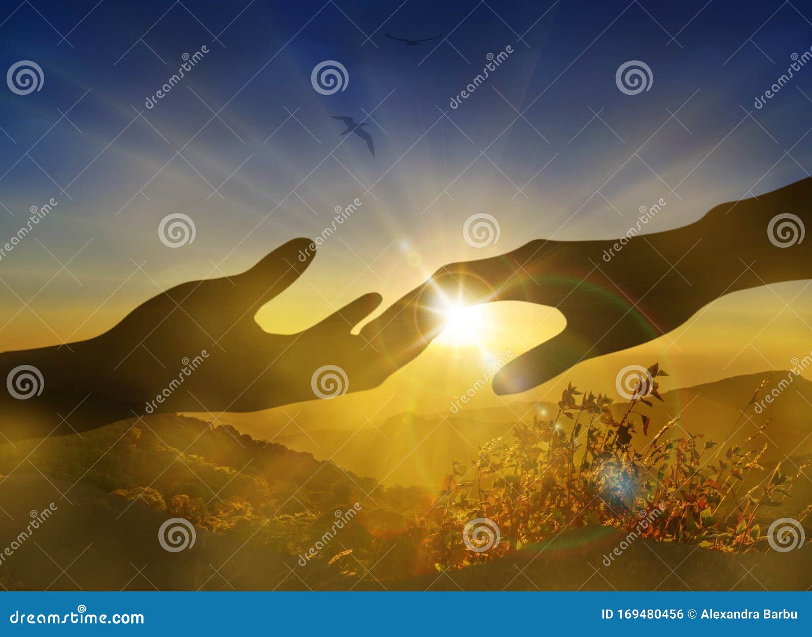 70,166 Holding Light Hands Stock Photos - Free & Royalty-Free Stock ...