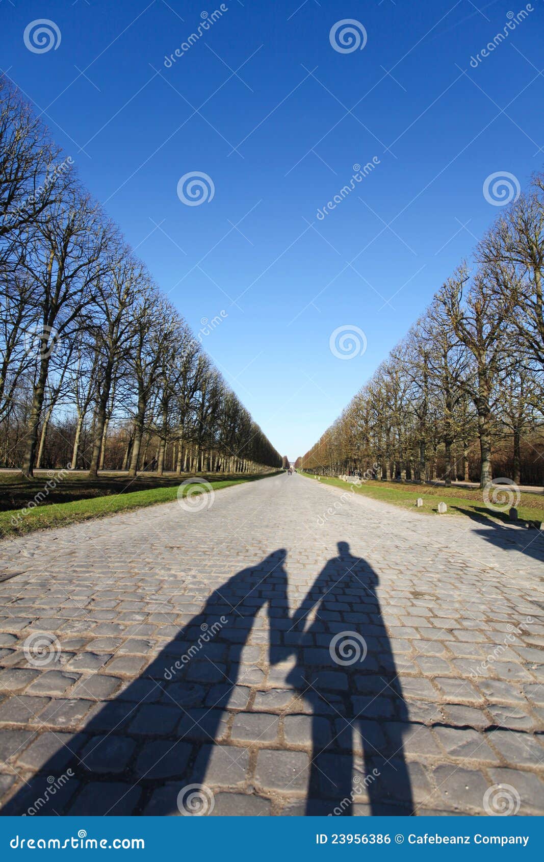 Holding Hands Shadow Down a Long Path Stock Photo - Image of scene ...