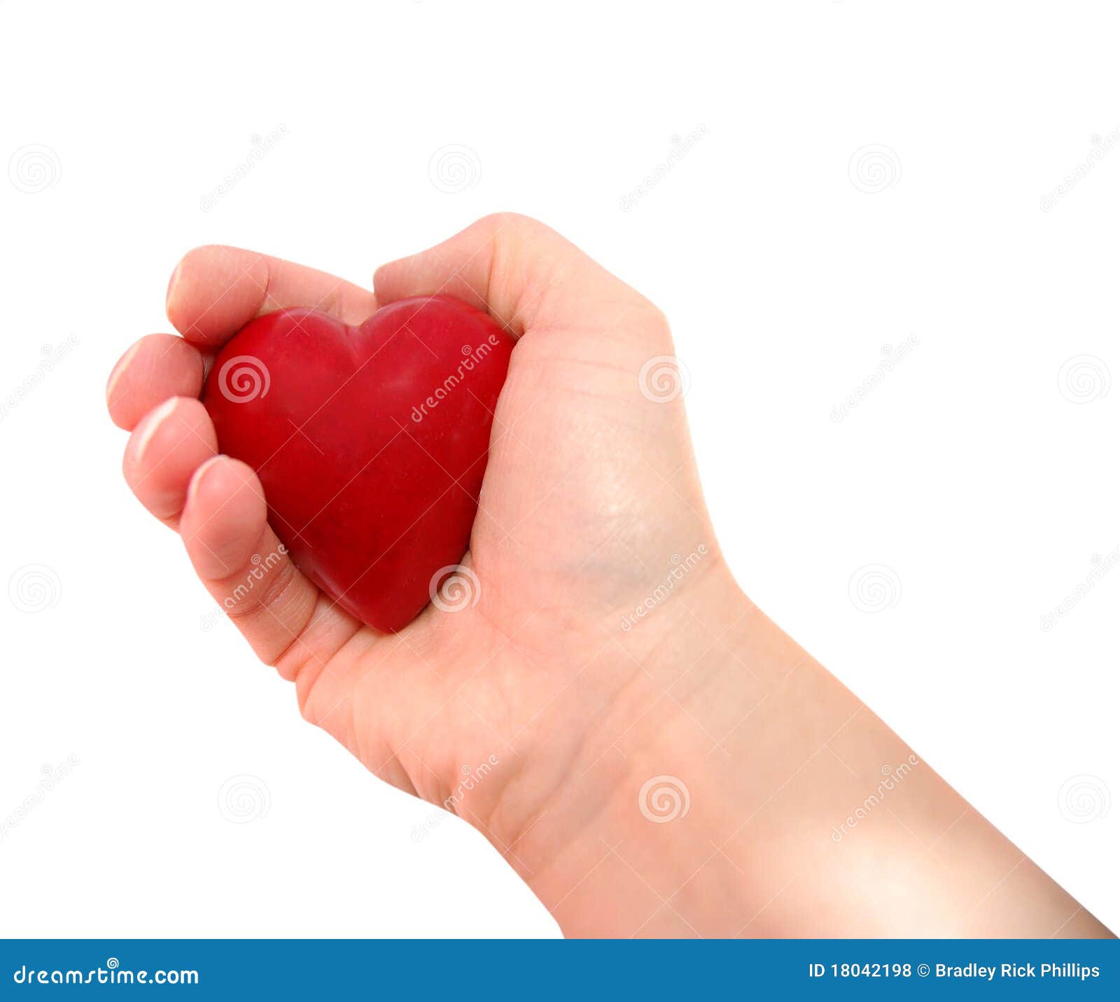 Holding heart stock photo. Image of secure, give, rock - 18042198