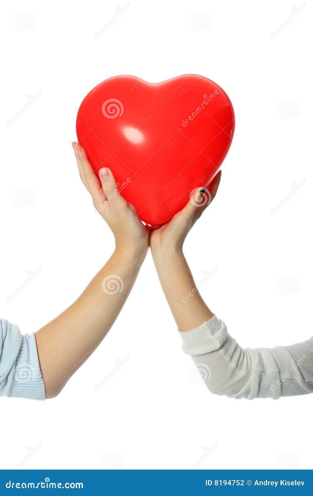 Holding heart stock photo. Image of celebration, beloved - 8194752