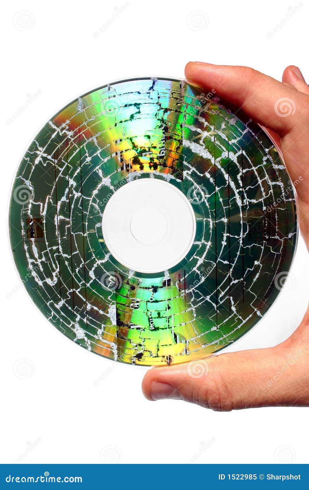 Holding a microwaved CD stock image. Image of pattern - 1522985