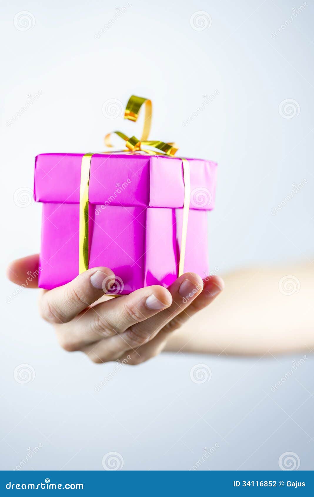 Holding Pink Wrapped Present Stock Photo - Image of ribbon, gold: 34116852