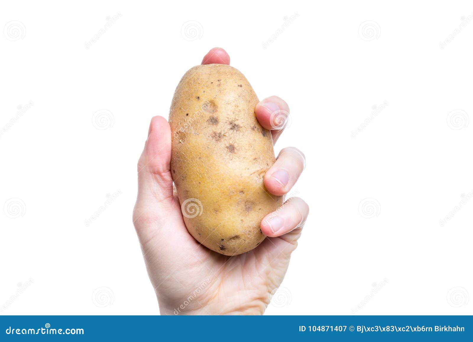 Holding a Potato in the Hand on White Background Stock Image - Image of ...