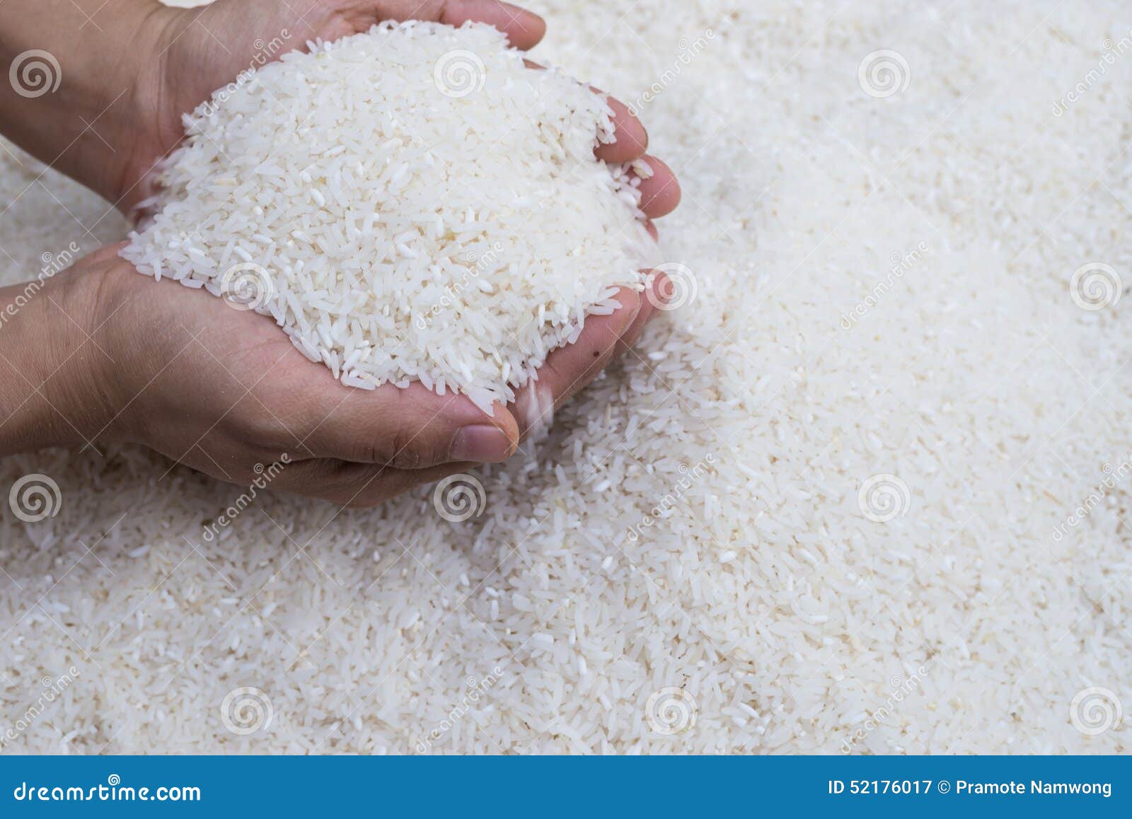 Holding rice with hands stock image. Image of hand, grain - 52176017