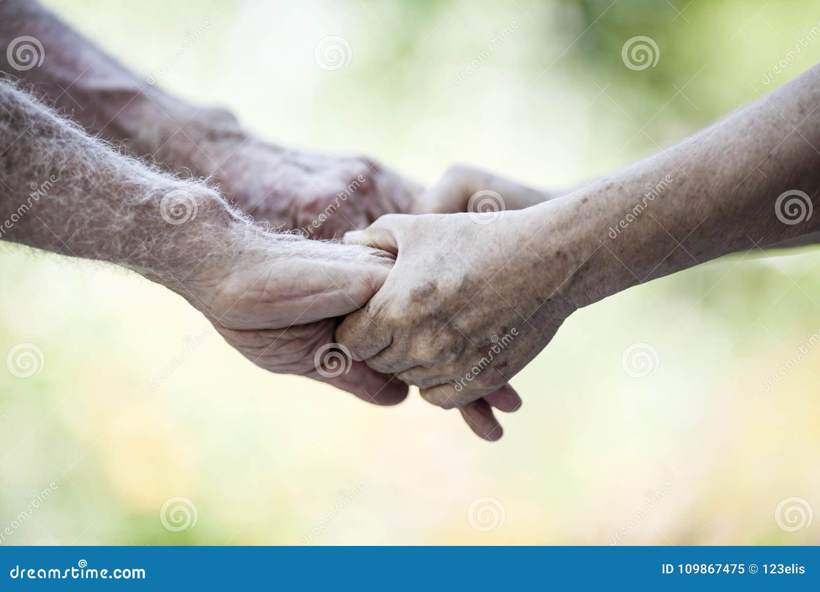 Holding senior hands stock image. Image of focus, assisted - 109867475