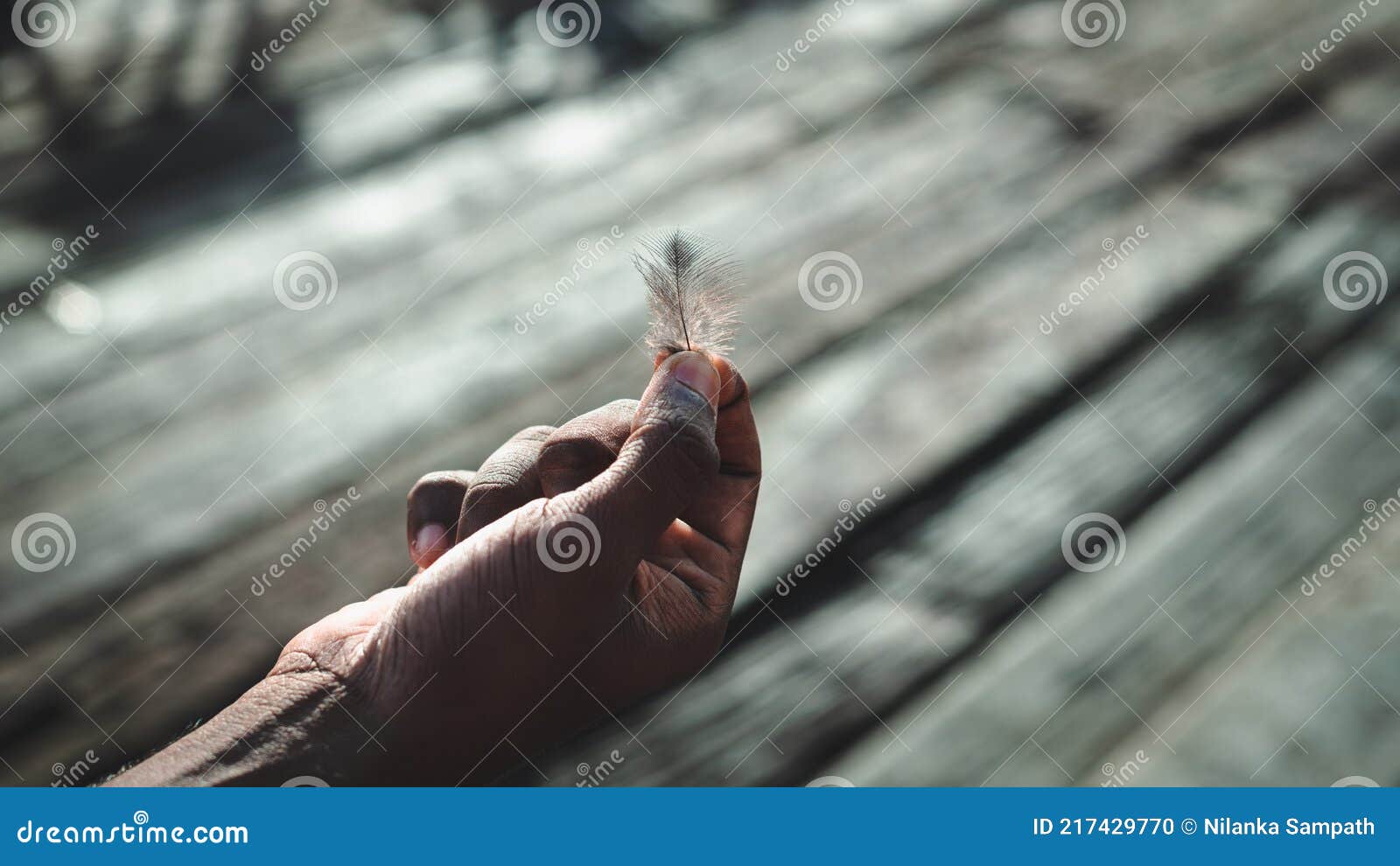 Holding a Small Feather by a Male Hand, a Great Picture for Creating ...