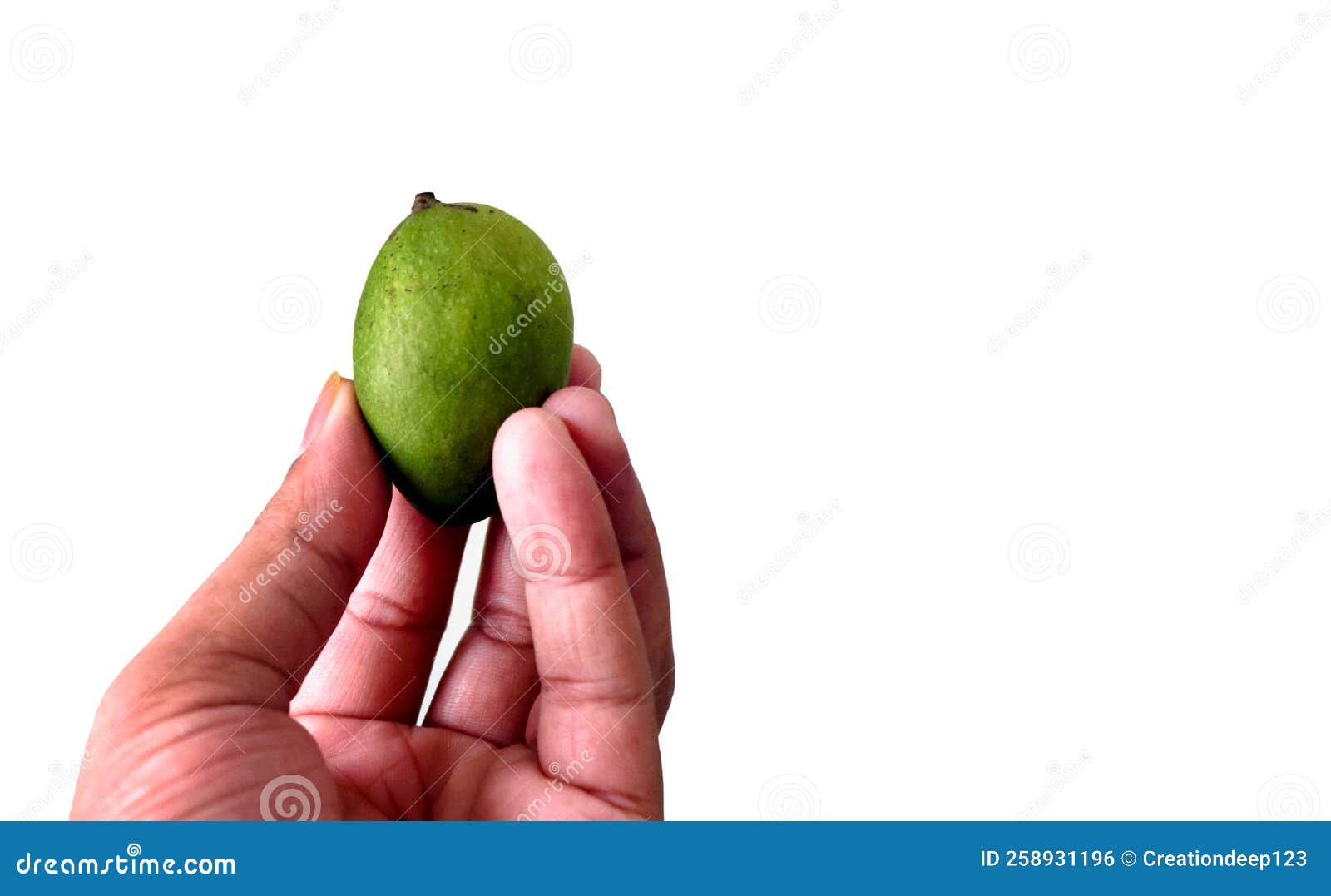 Holding a Small Green Mango in Hand Stock Photo - Image of tropical ...