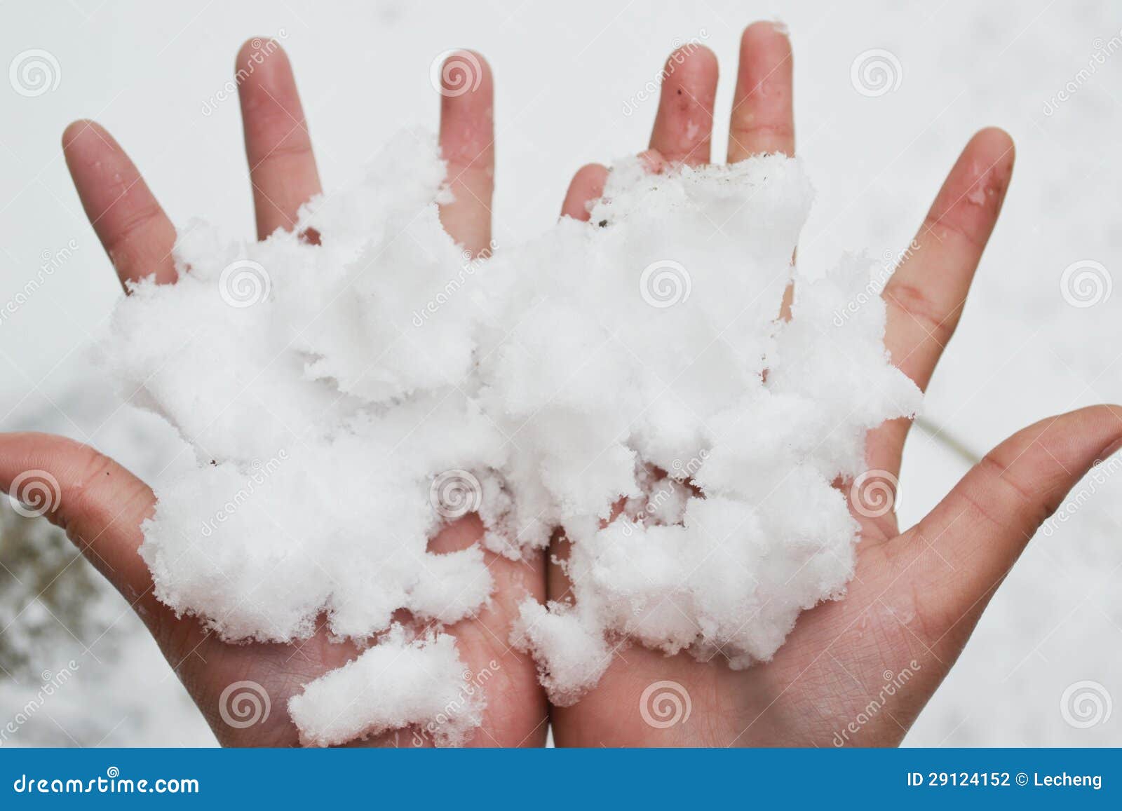 Holding Snow s hand stock photo. Image of abstract, snow - 29124152