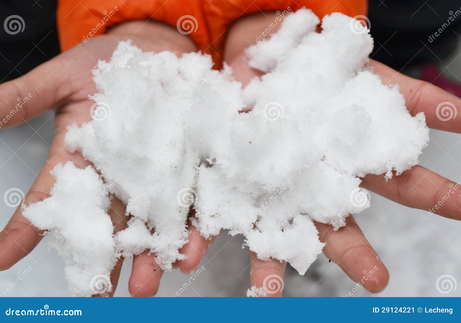 Holding Snow s hand stock image. Image of gentle, hand - 29124221