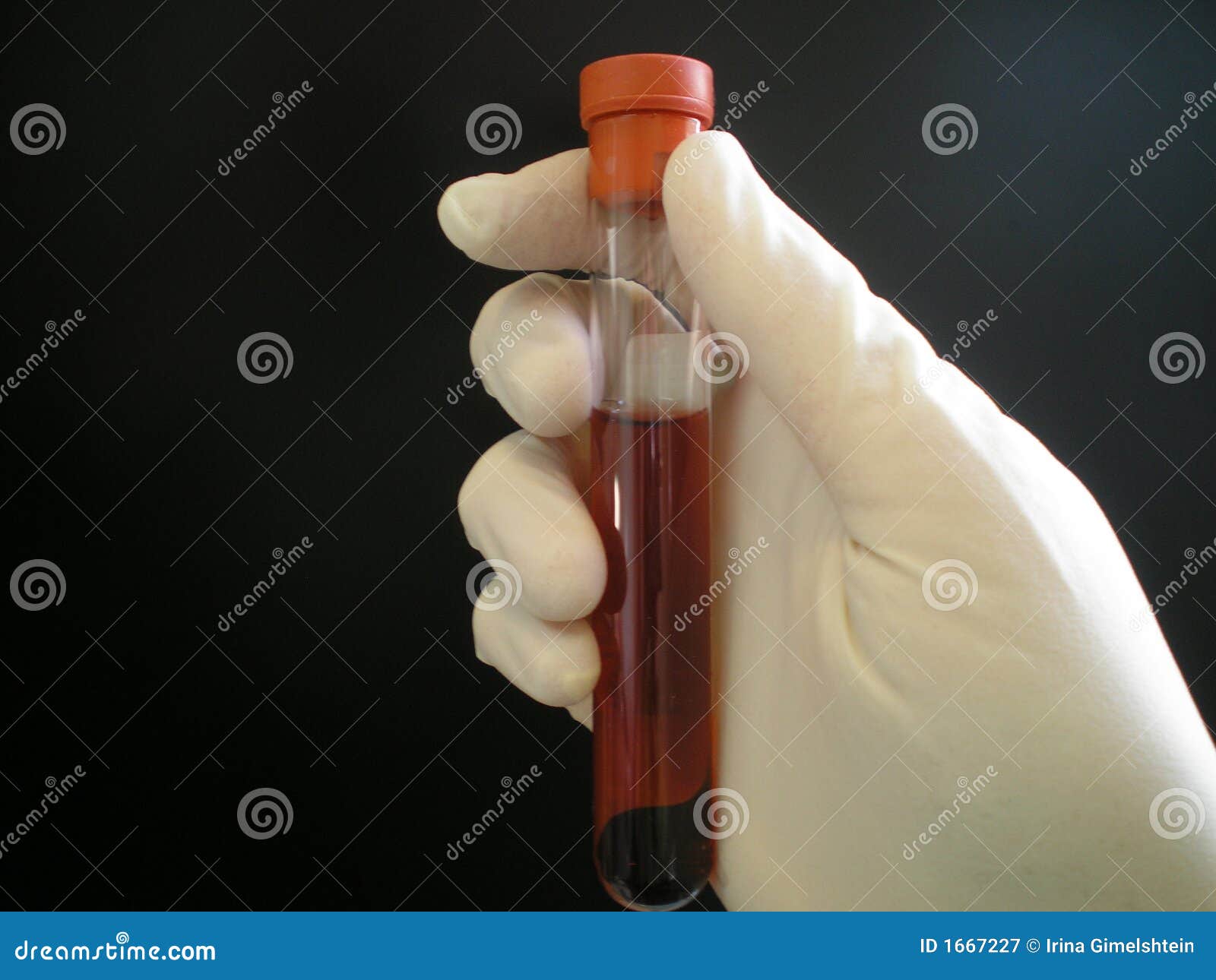 Holding a test tube stock image. Image of medicine, doctor - 1667227