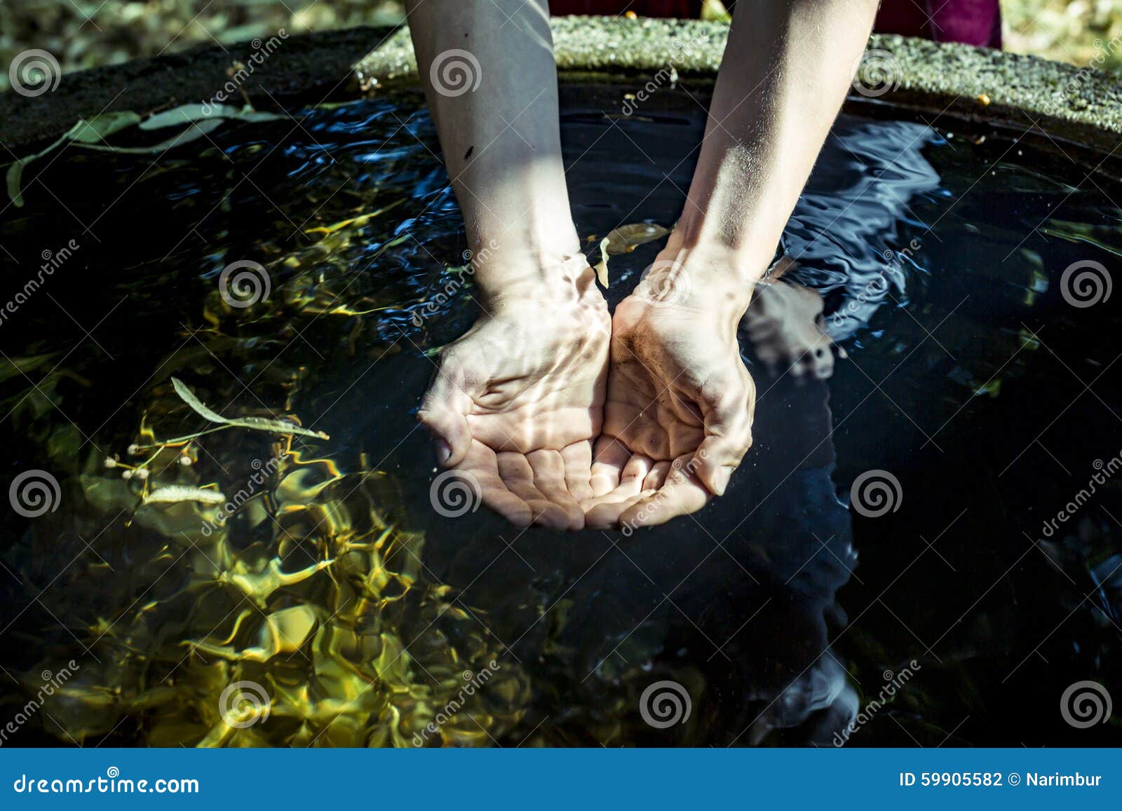 Holding Water from a Well in Cupped Hands Stock Photo - Image of season ...
