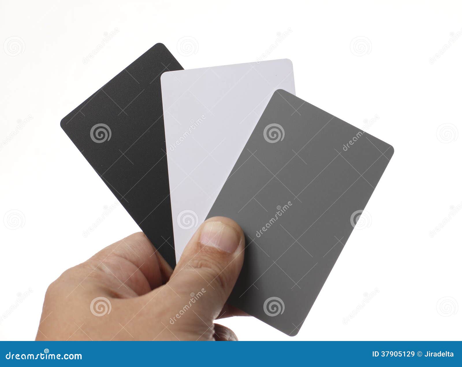 Holding White Balance Cards Stock Image - Image of photographer ...