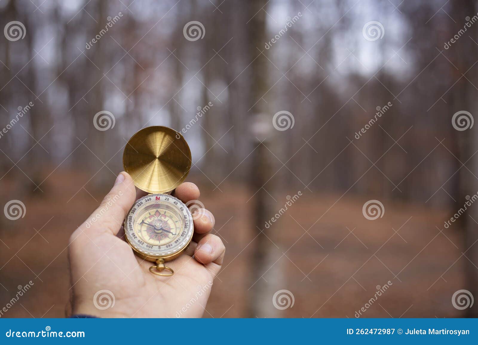 Holds a Compass on the Background of the Forest Stock Image - Image of ...