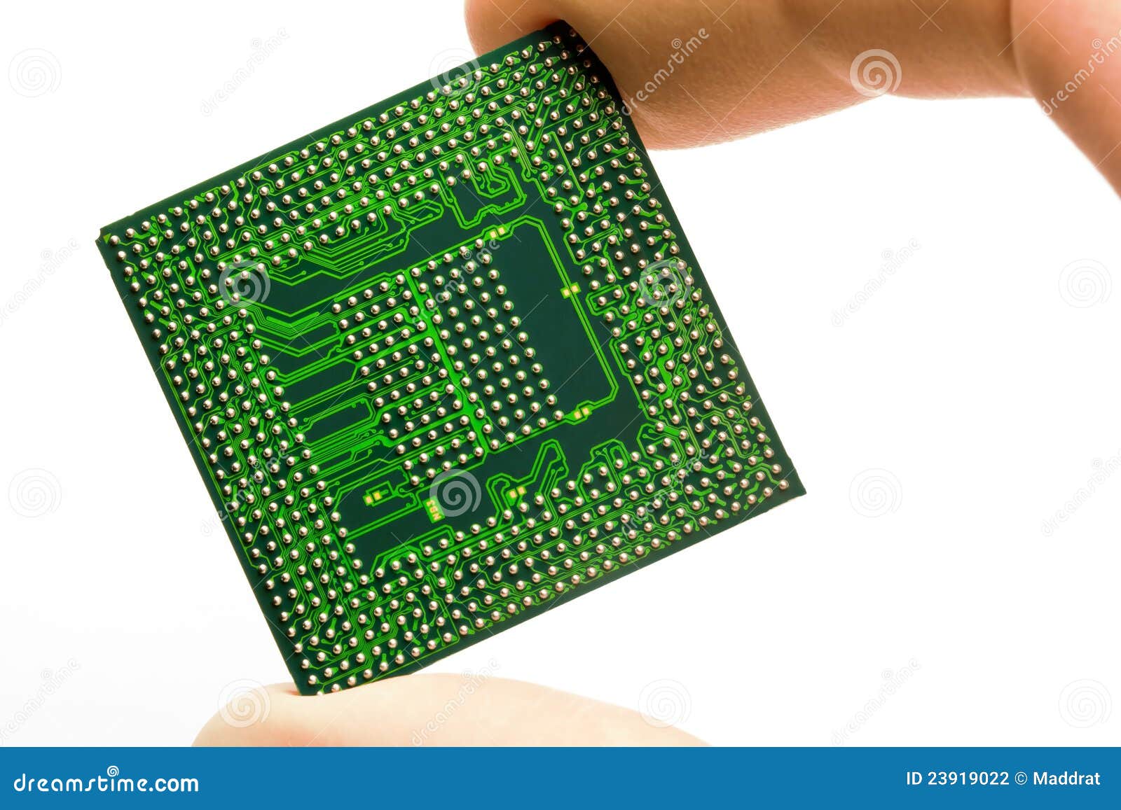 Holds microchip stock photo. Image of micro, conductor - 23919022