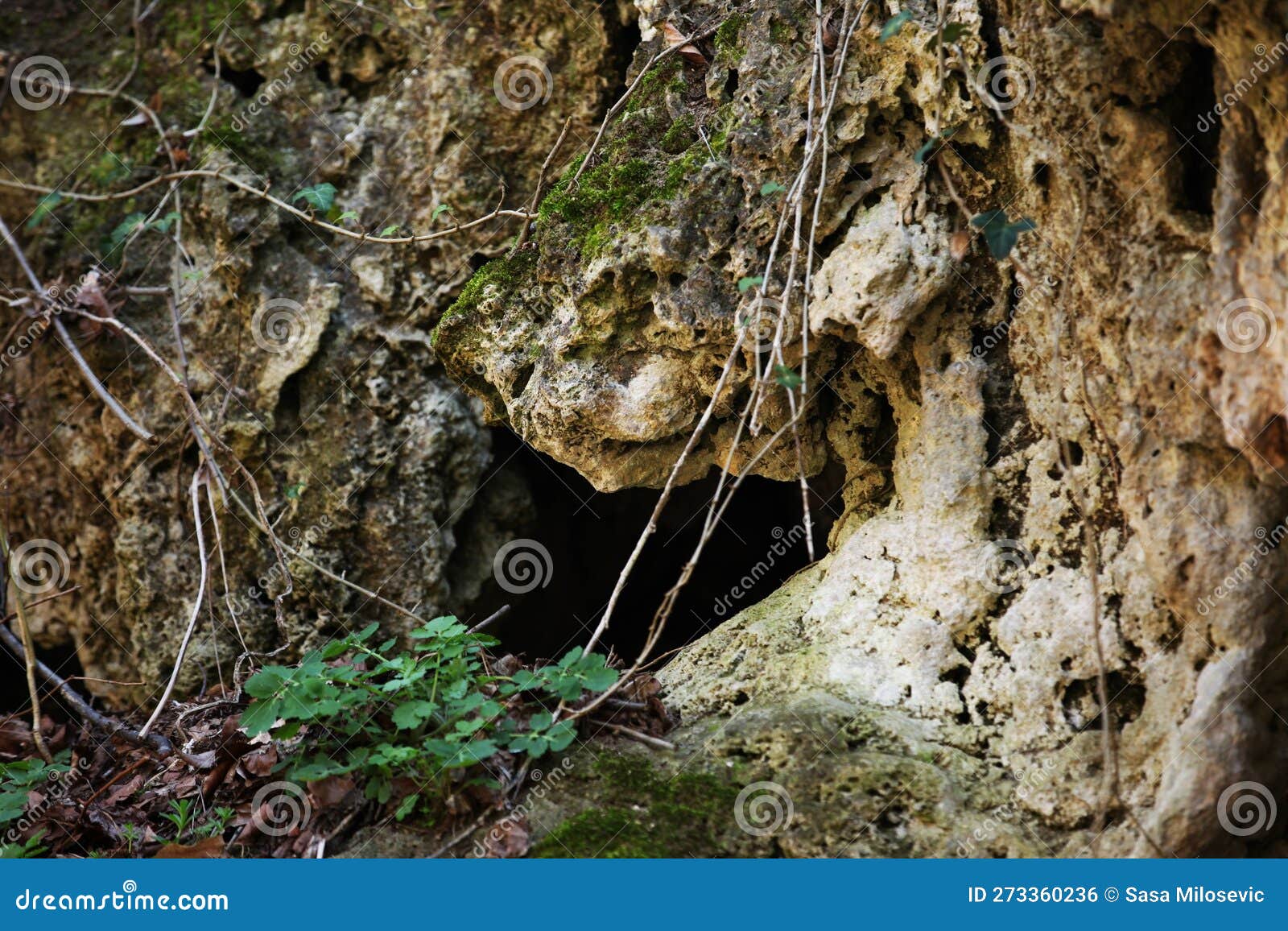 A Hole in a Cave with Moss and Greenery on the Side Stock Photo - Image ...
