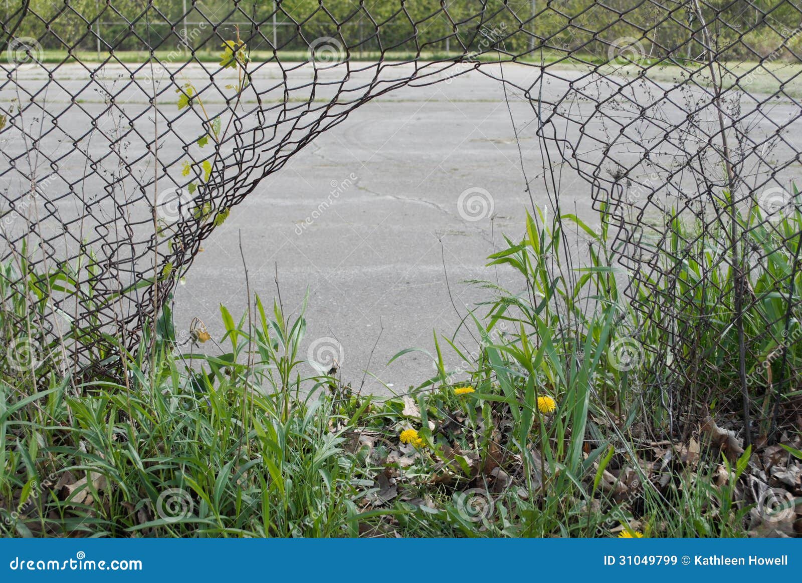 Hole in the fence. stock image. Image of grass, horizontal - 31049799