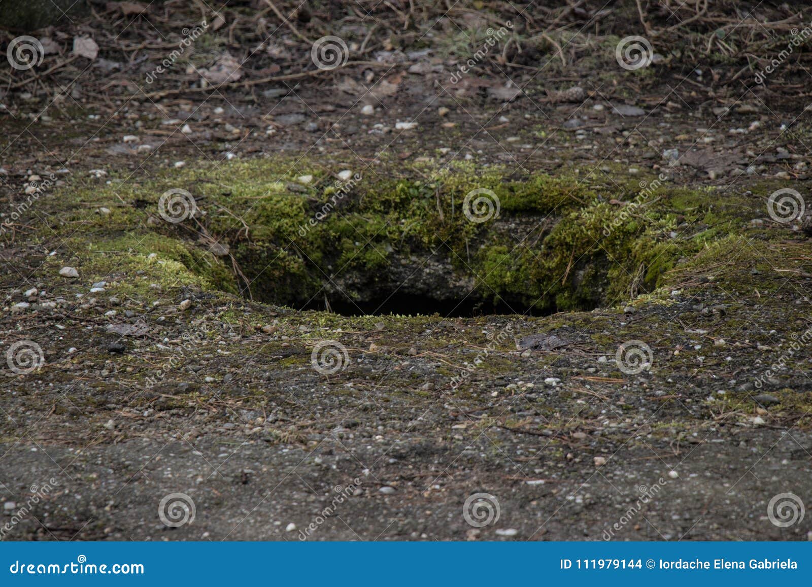 A hole in the ground stock photo. Image of healthy, nature - 111979144