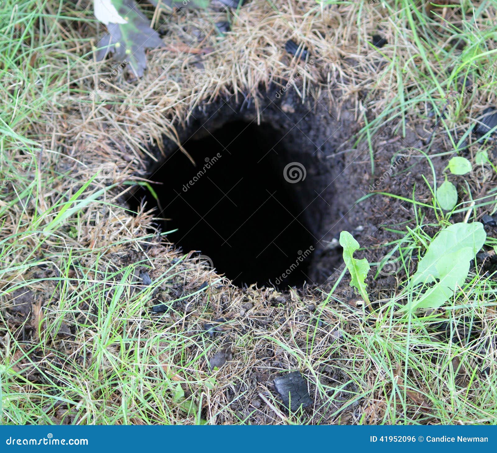 Hole in the Ground stock photo. Image of leaves, black - 41952096