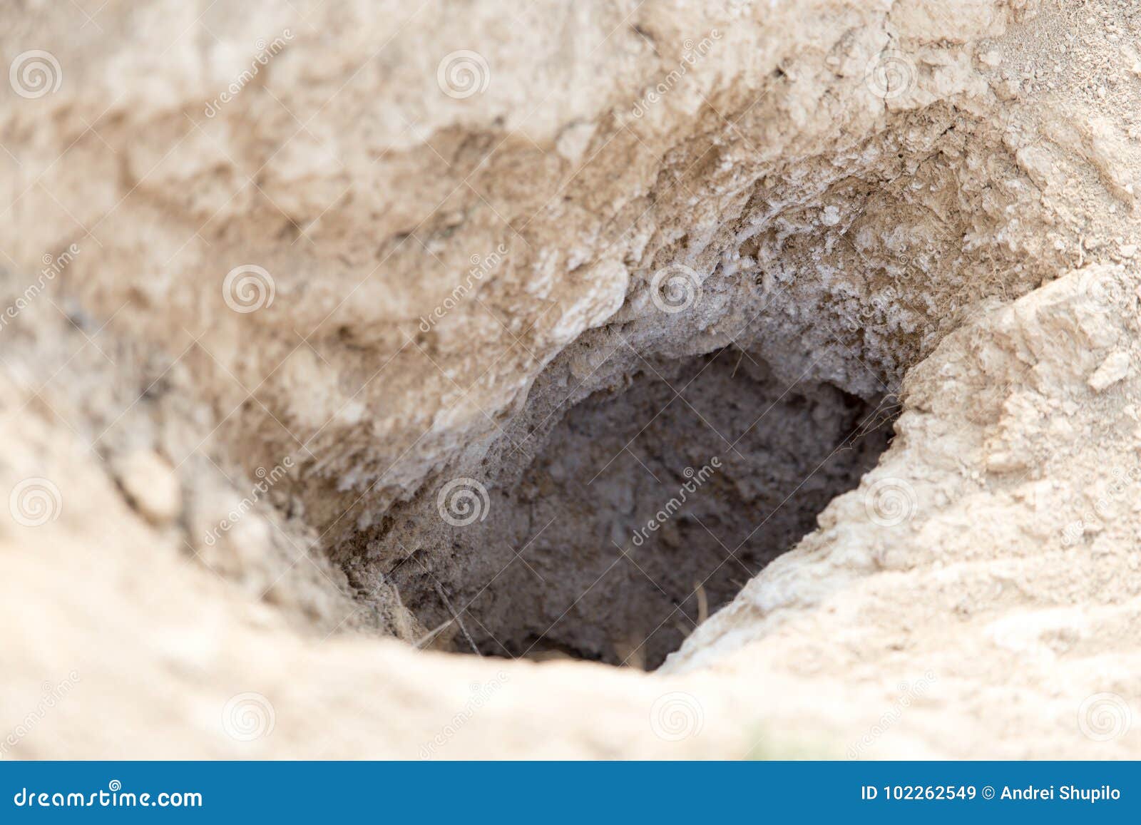 Hole on the Nature of the Beast Stock Image - Image of burrow, earth ...