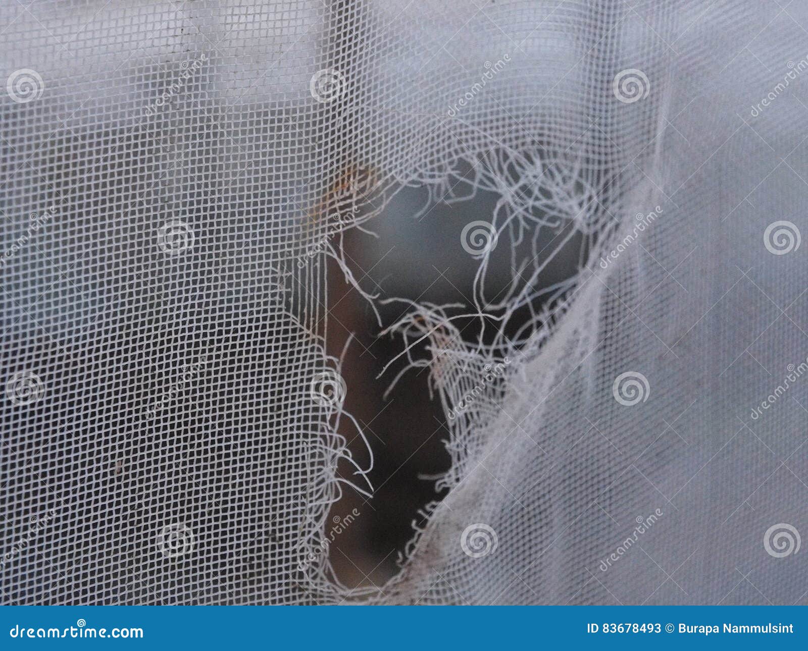 Hole in net. stock image. Image of mesh, netting, torn - 83678493