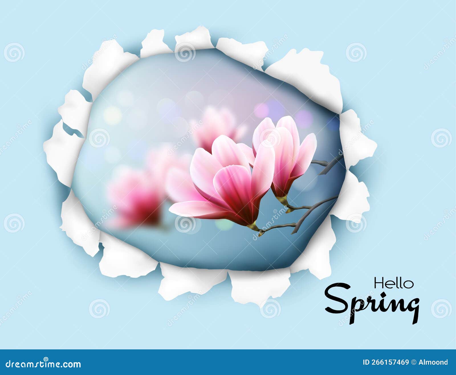 Hole in Paper Revealing a Revealing Spring Blossom Magnolia Branches ...