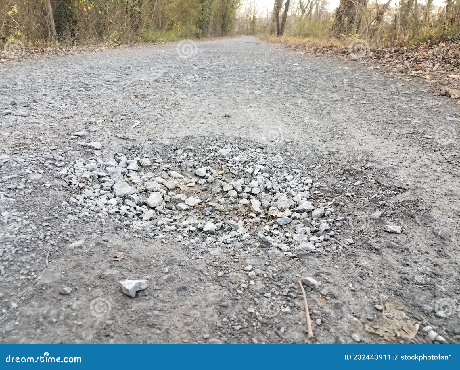 Hole or Pothole with Rocks on Trail or Path Stock Image - Image of ...