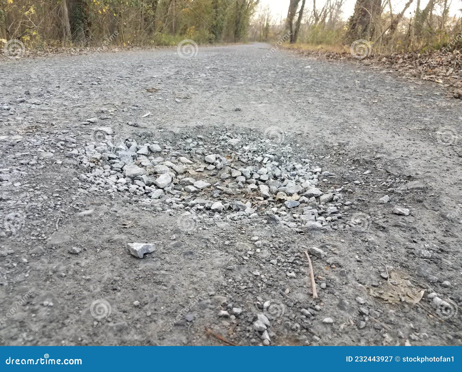 Hole or Pothole with Rocks on Trail or Path Stock Image - Image of ...