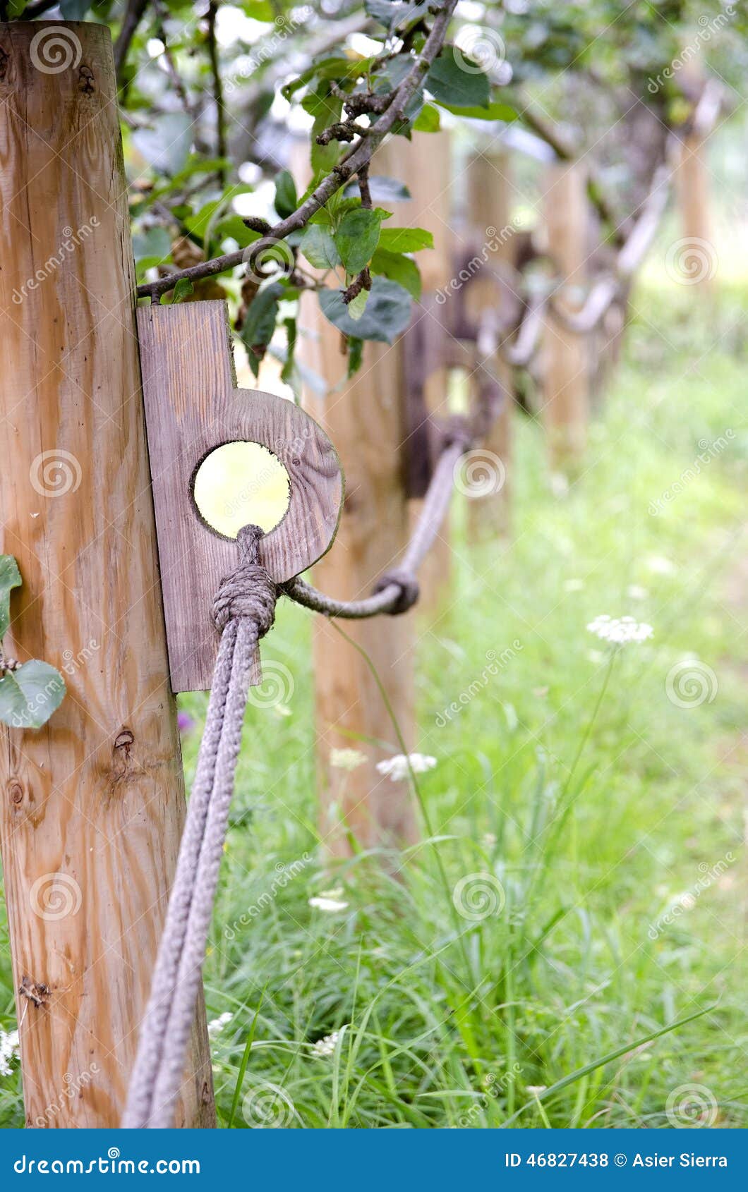 Hole stock photo. Image of grass, mast, rope, green, remoteness - 46827438