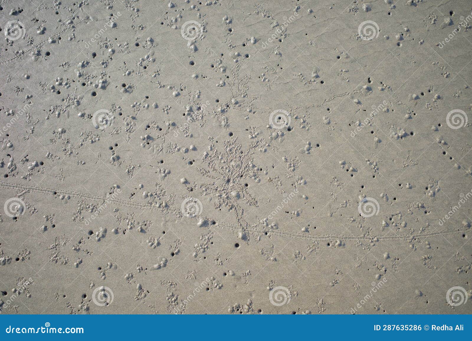 Hole in the Sand on the Beach during Low Tide Stock Photo - Image of ...