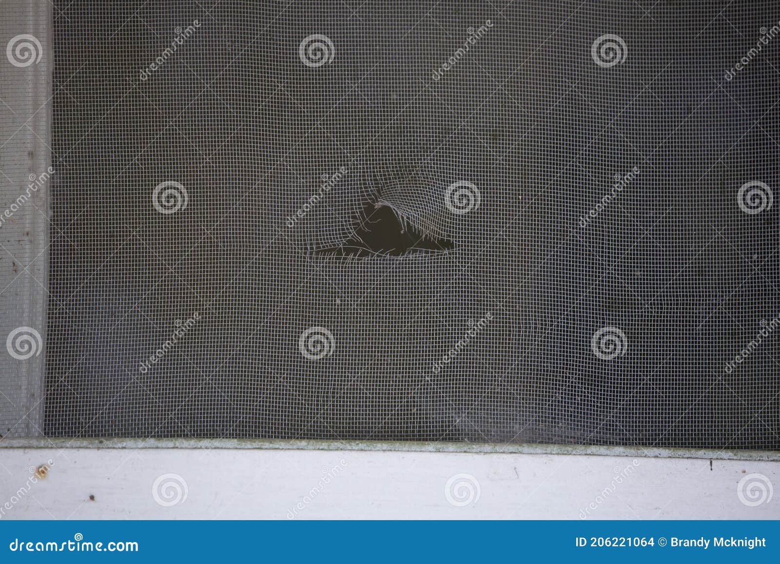 Hole in a Screen stock photo. Image of blockade, conceptual - 206221064