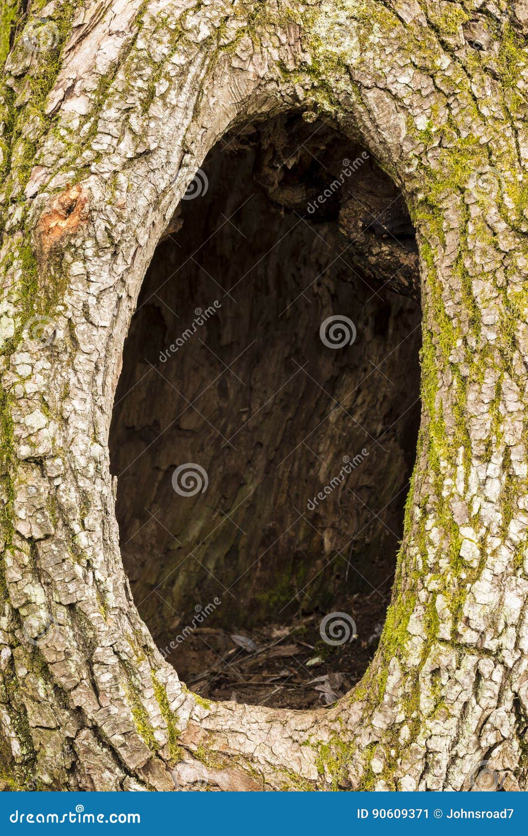 Hole in a Tree stock image. Image of material, aged, pattern - 90609371