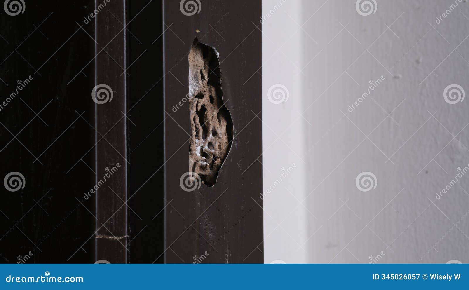 A Hole on Wood Door Frames that Eaten by Termites, Termine Comb. Stock ...