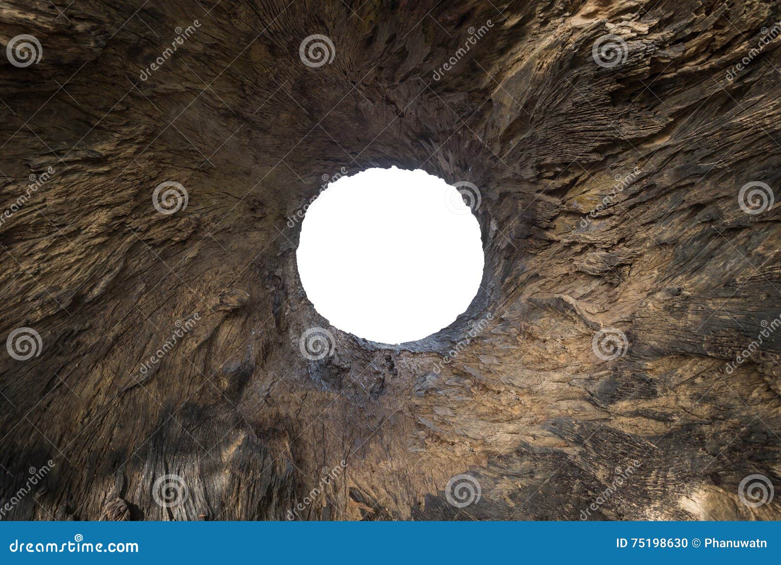 Hole of Wood Log with White Isolated on Middle for Design. Saved Stock ...