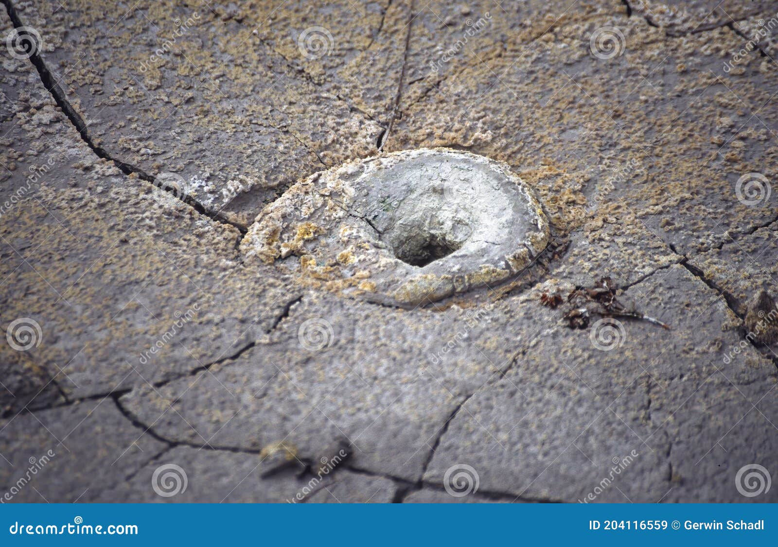 Hole of a Yellowstone Mud Fumarole Stock Image - Image of hydrothermal ...
