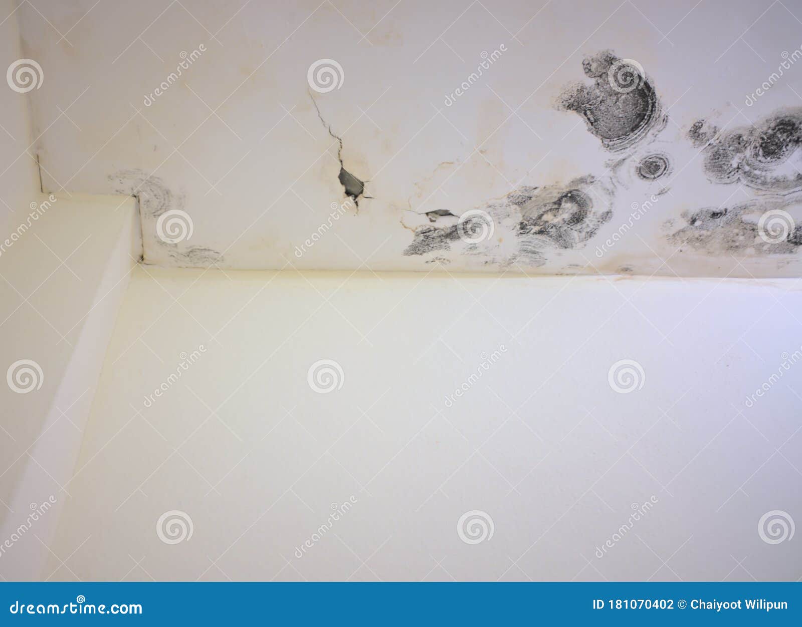 Holes in the Ceiling, Black Mold on the Ceiling Moisture on the Ceiling ...