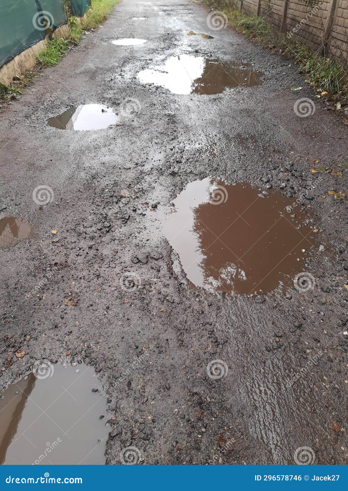 Holey non-asphalt road stock photo. Image of plant, water - 296578746