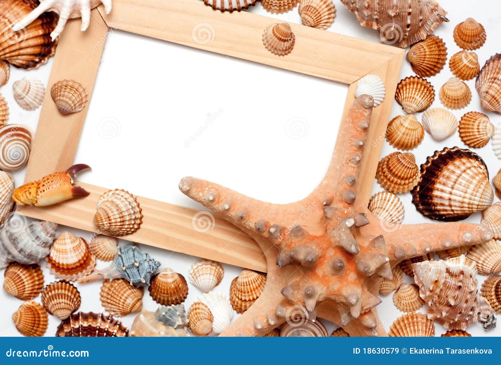 Holiday Beach Concept with Shells Stock Image - Image of summer, blank ...