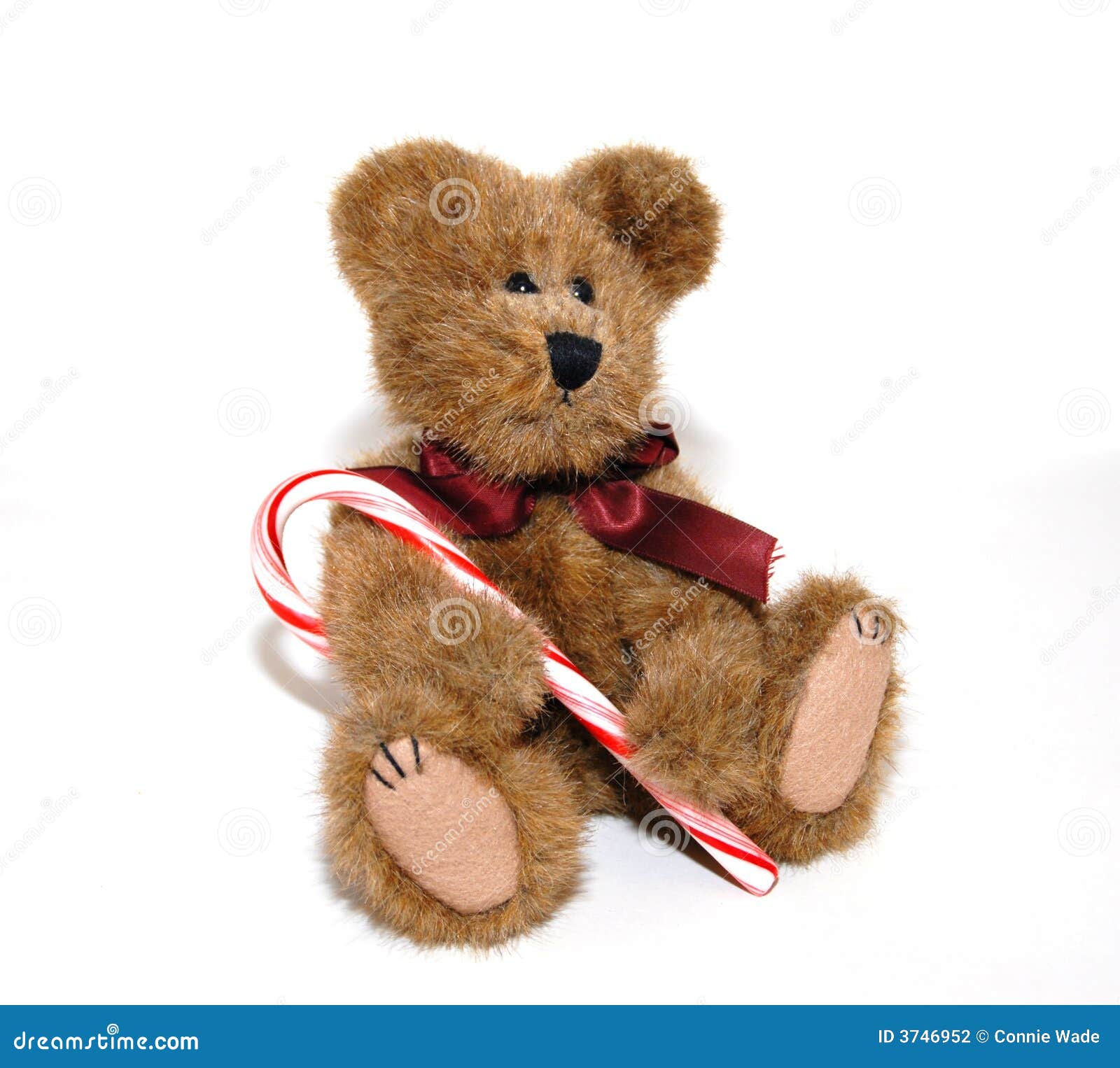 Holiday Bear with Candy Cane Stock Photo - Image of bear, stripped: 3746952