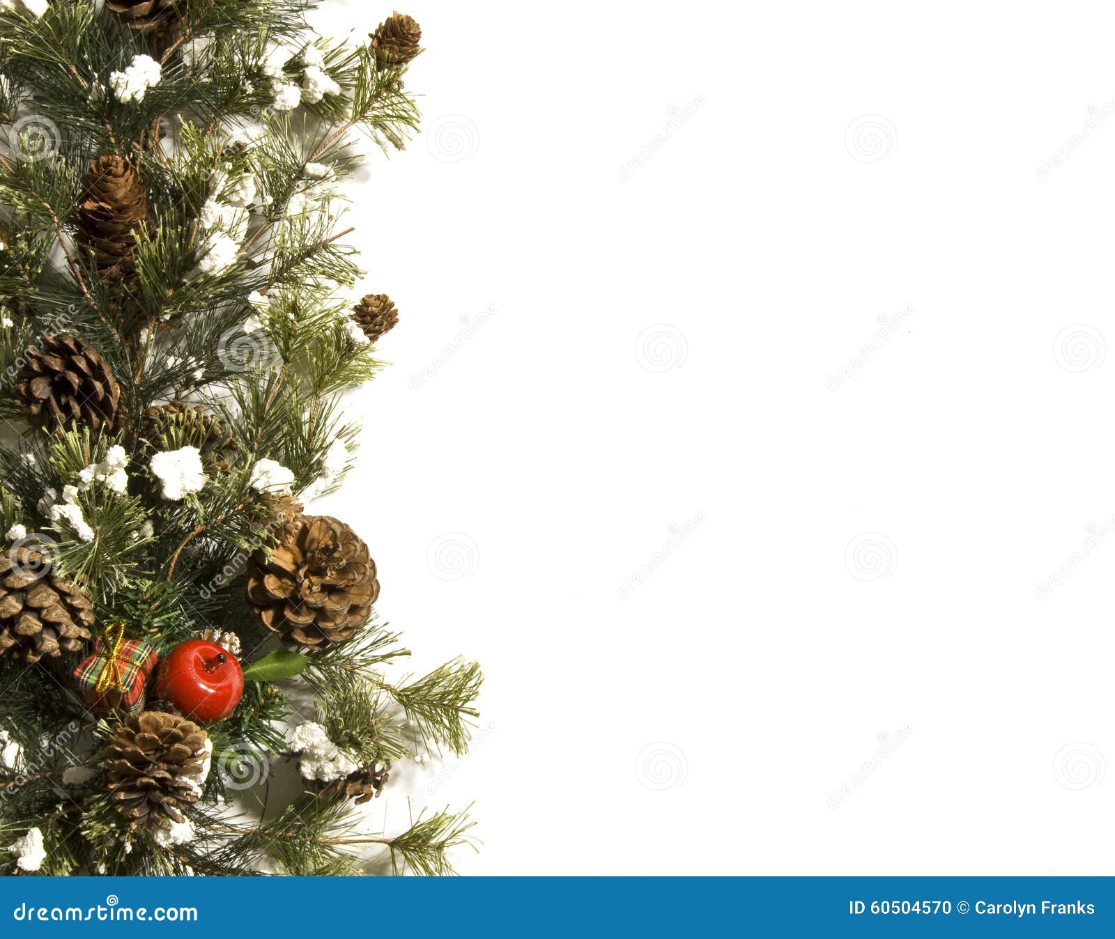 Christmas Evergreen Tree Royalty-Free Stock Photography | CartoonDealer ...