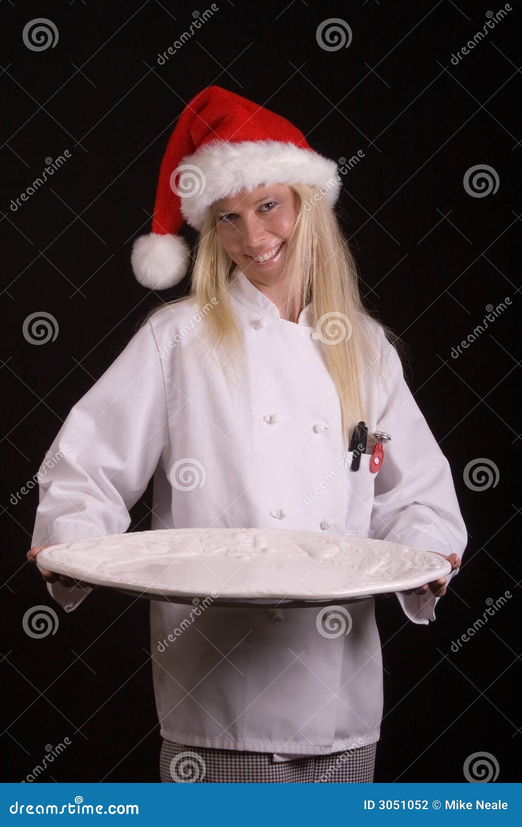 Holiday Chef stock photo. Image of friendly, baker, serving - 3051052