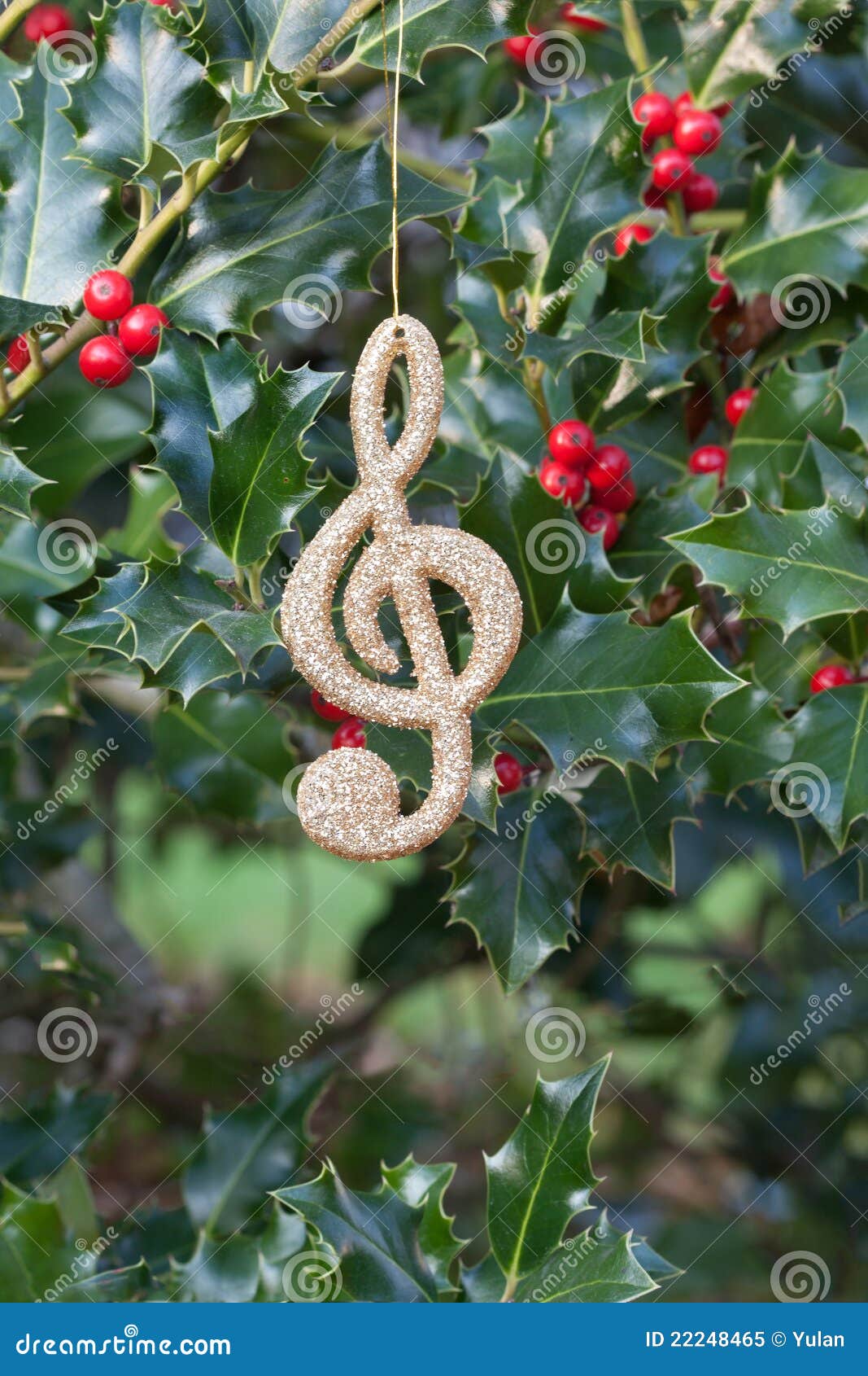 Holiday Decoration on Holly Sprigs Stock Image - Image of decoration ...