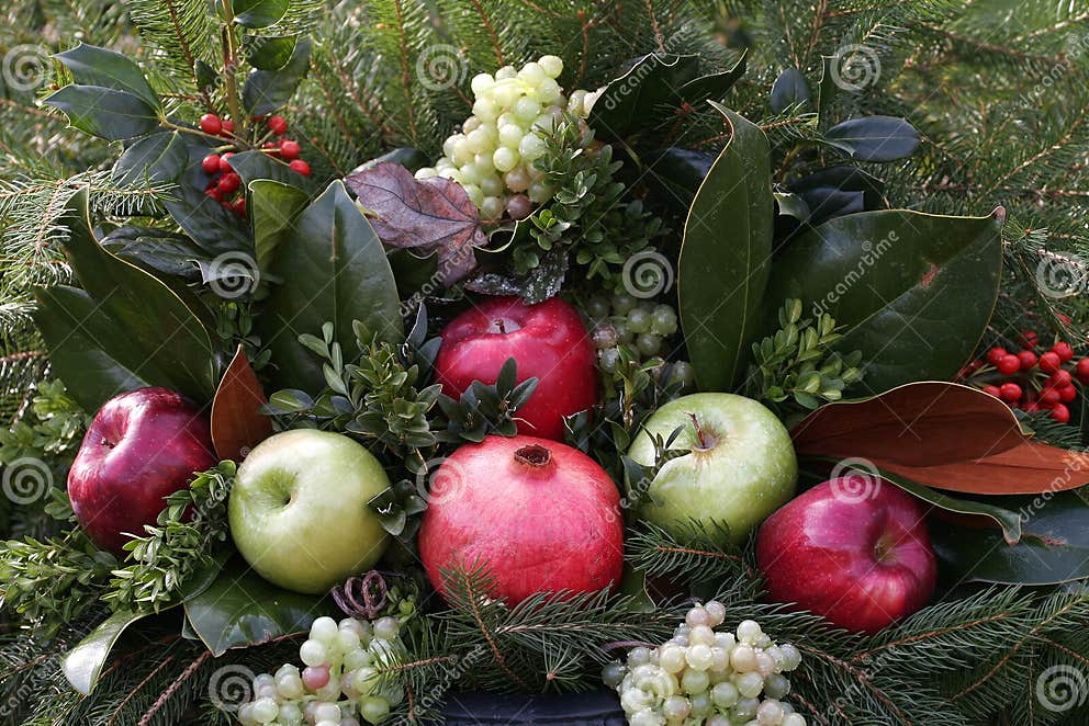 Holiday Fruit Arrangement stock image. Image of christmas - 1621645