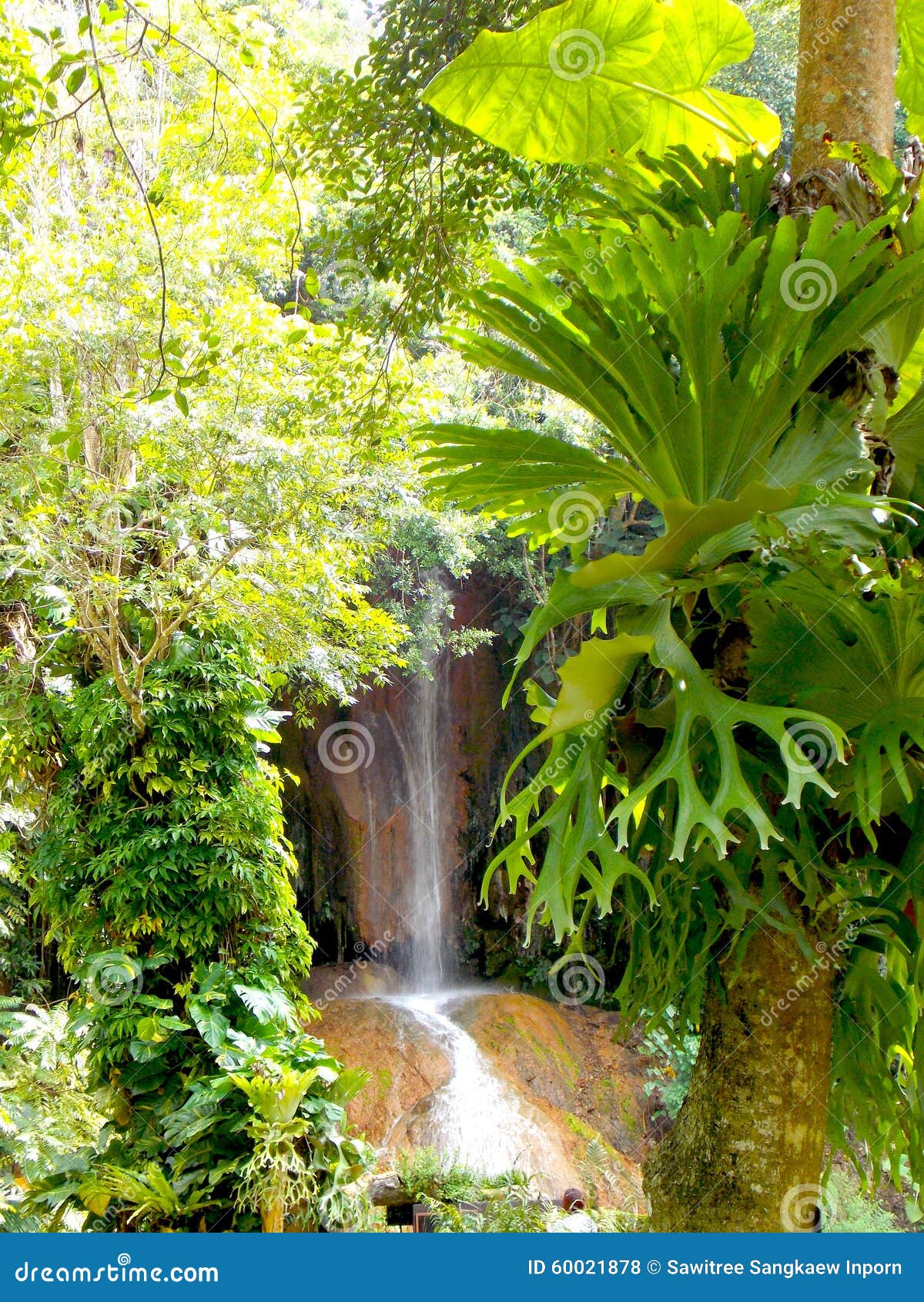 Holiday stock photo. Image of nature, green, waterfall - 60021878