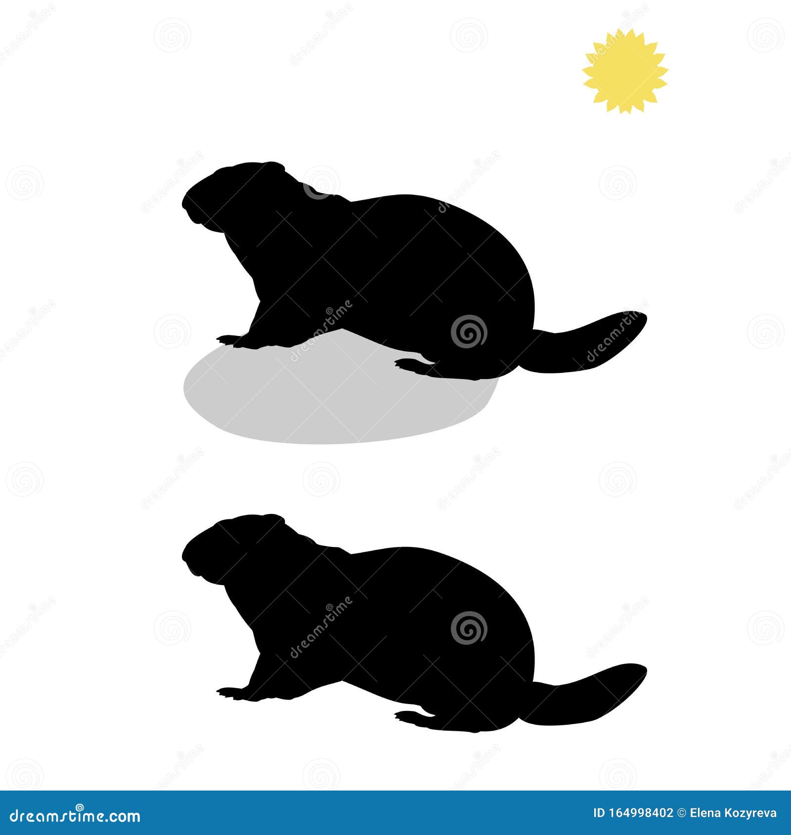 Holiday Groundhog Day. Falling Shadow Prediction of Spring Stock ...