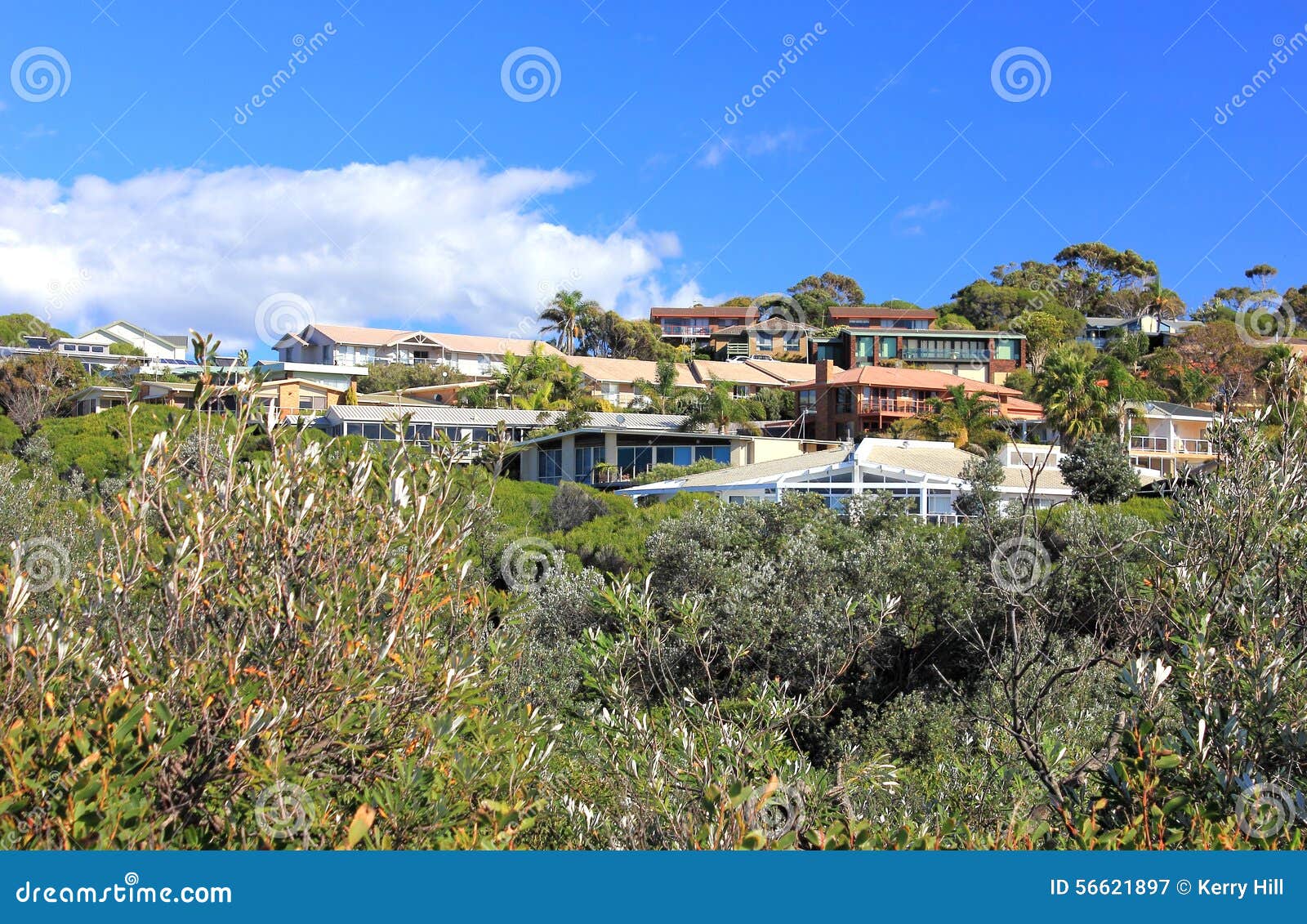 Holiday Homes on Hill in Bush Setting Stock Image - Image of bush ...