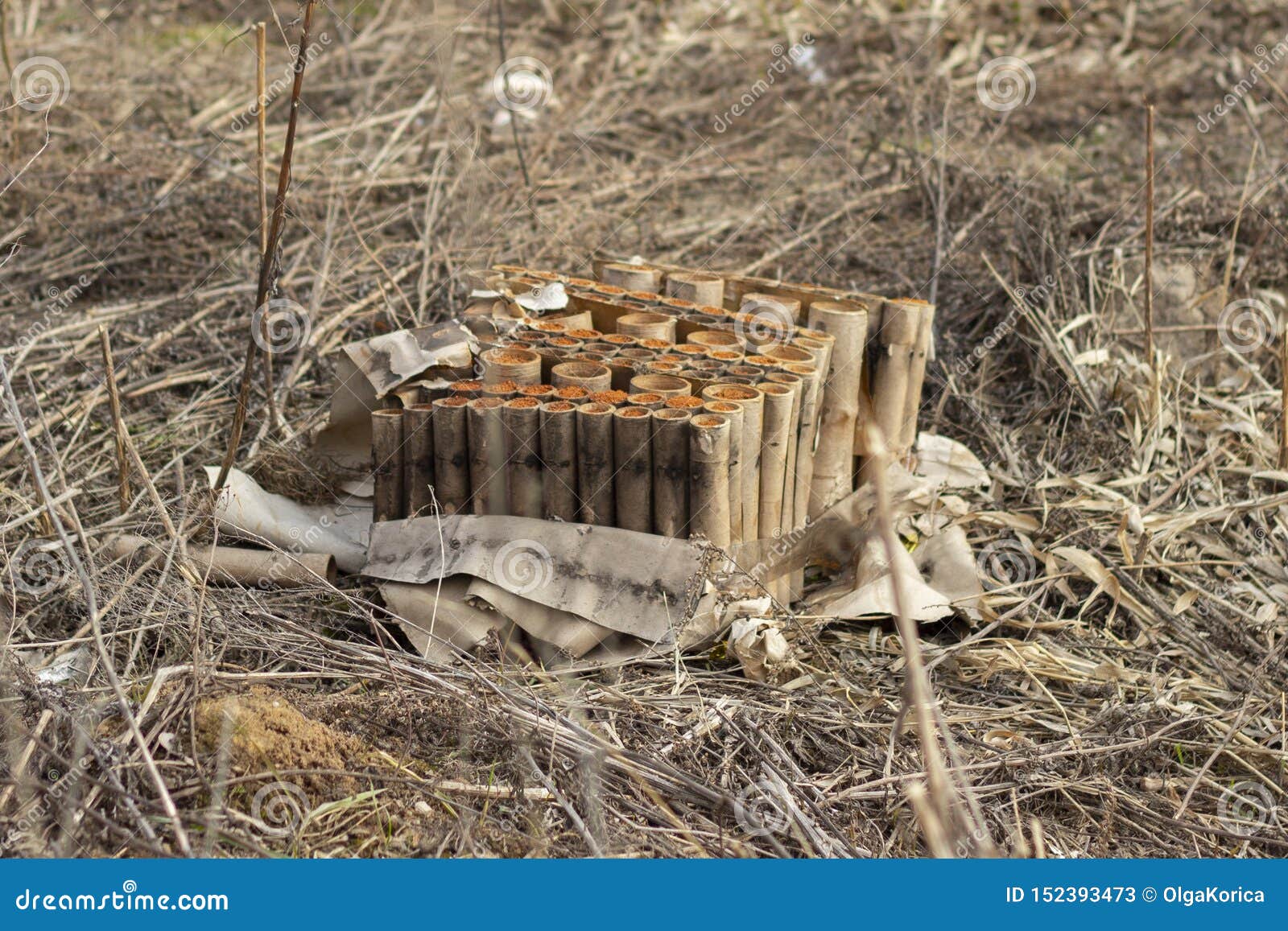 After the Holiday, Lawn Full of Empty Cardboard Firework Package and ...