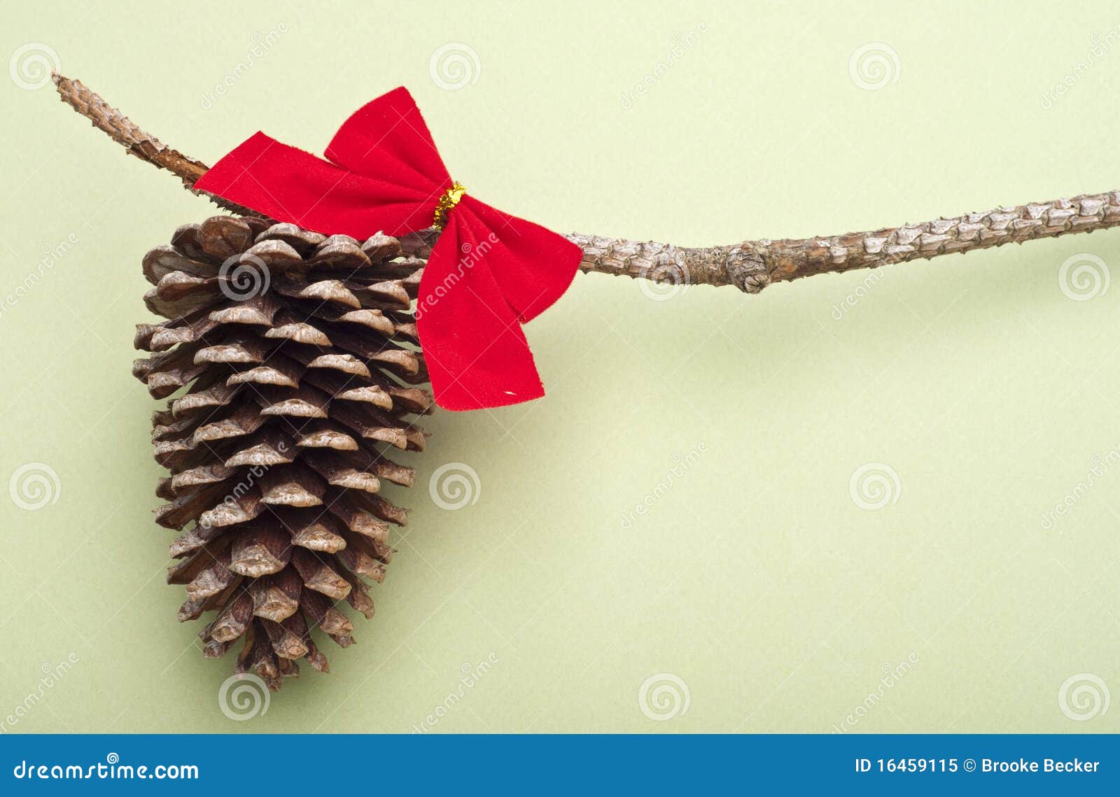 Holiday Pinecone with a Red Bow on a Green Backgro Stock Image - Image ...