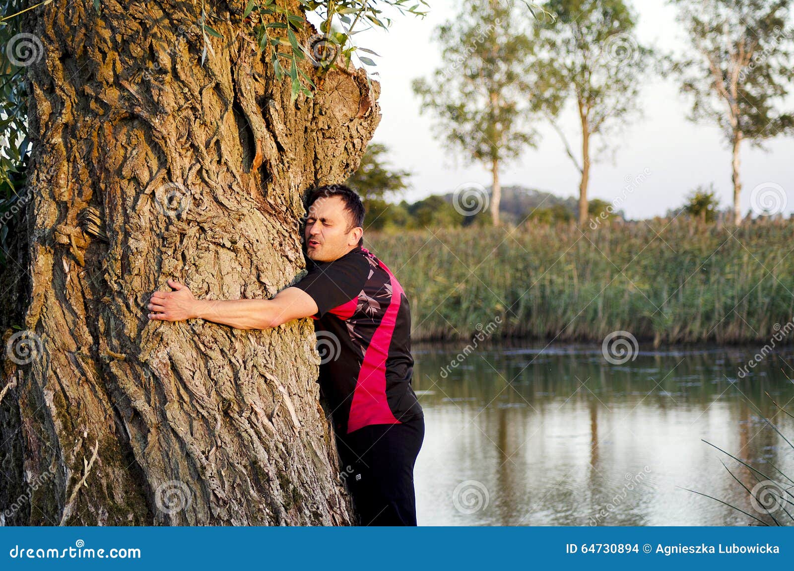Holiday relaxation stock photo. Image of relaxation, trees - 64730894